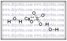 Calcium sulfate dihydrate - DR JCR BIO DR JCR BIO