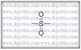Dimethyl sulfone - DR JCR BIO DR JCR BIO