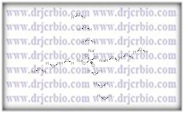 Sodium phosphate dodecahydrate - DR JCR BIO DR JCR BIO